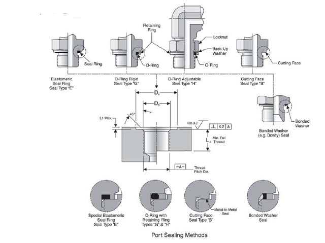 D9DT-32 - ISO 1179-11) — Flat Face Port with British Standard Pipe ...